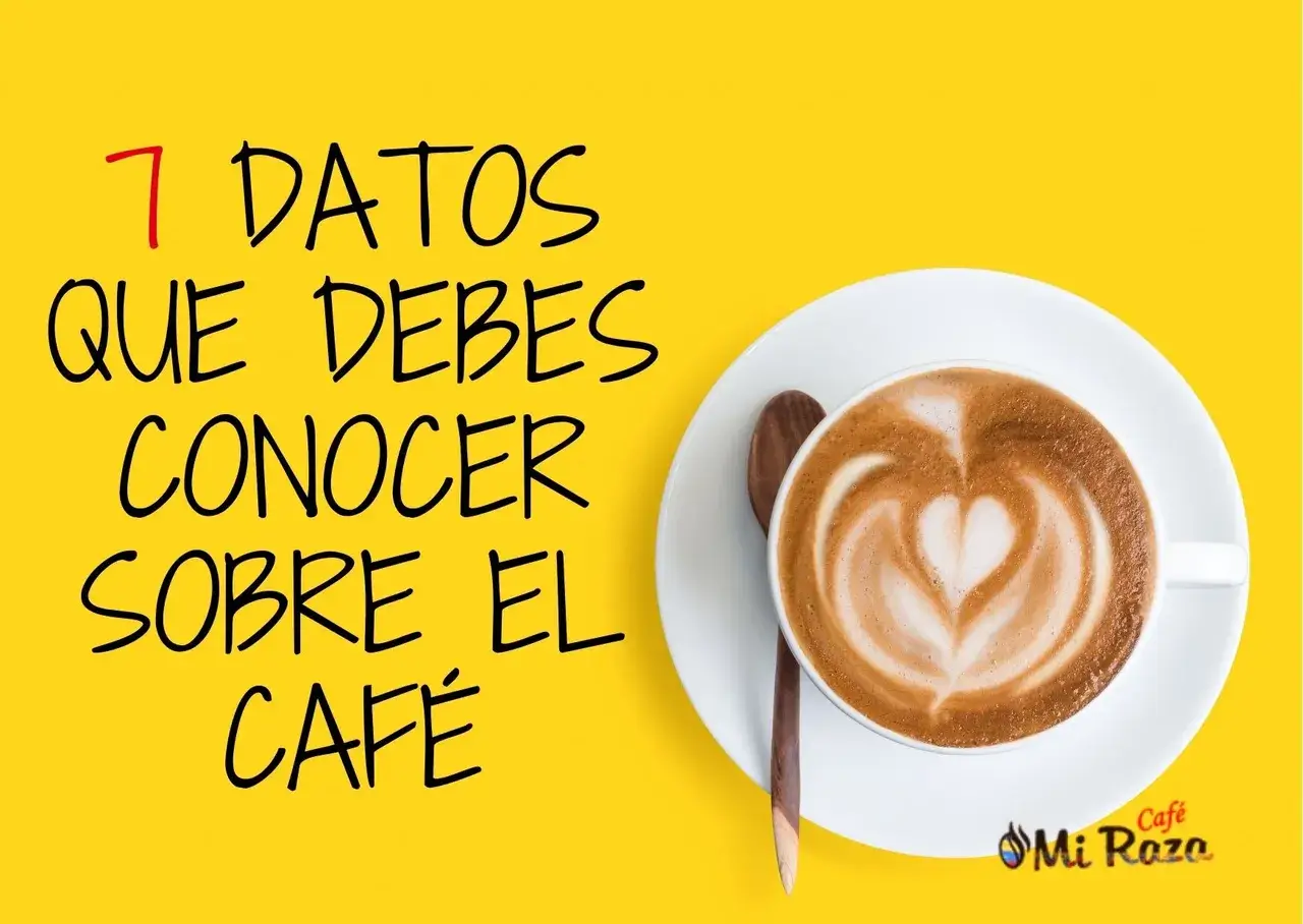 The 7 facts you should know about coffee. – Café Mi Raza